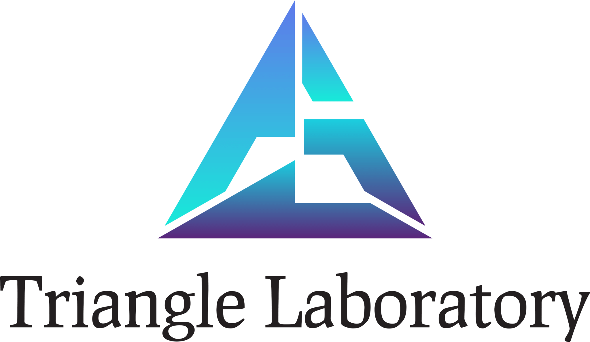 IT Specialist Triangle Laboratory it-specialist-triangle-laboratory